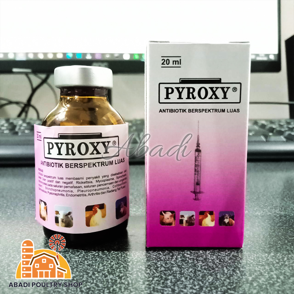 PYROXY ANTIBIOTIK 20 ML | Lazada Indonesia