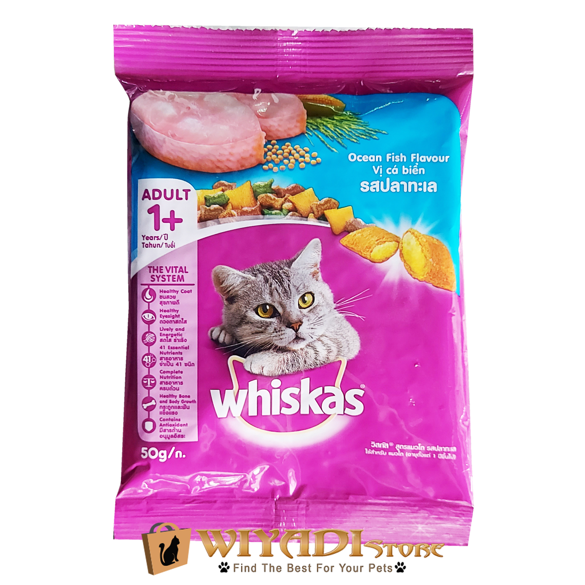 Makanan Kucing Yang Bagus Dan Murah James has Todd