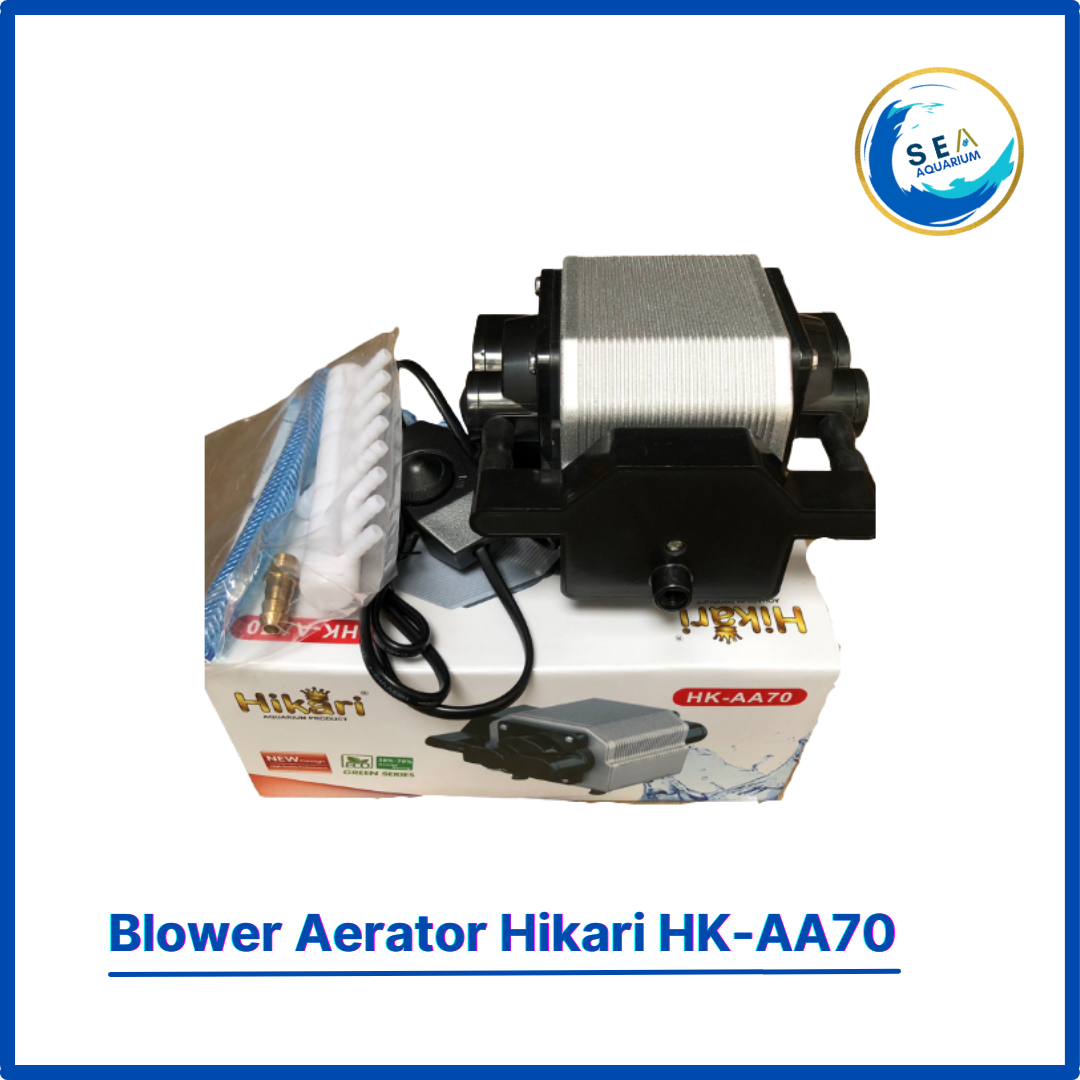 AirPump Blower Aerator Recent RC AA70 8 Lubang | Lazada Indonesia