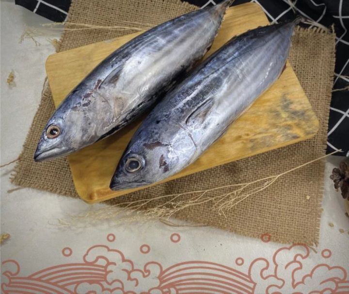 Ikan Baby Tuna Fresh | Lazada Indonesia