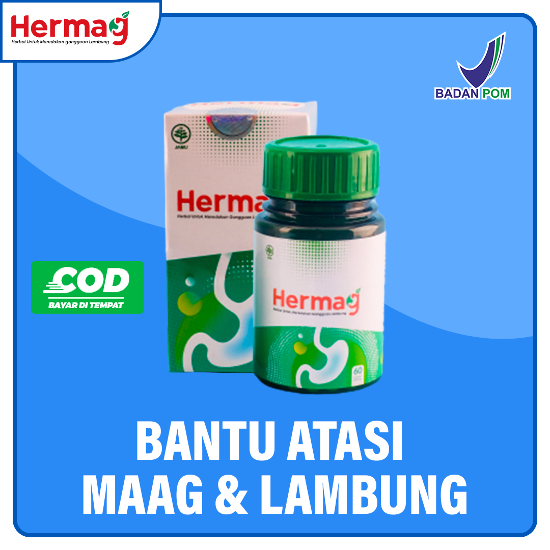 OBAT MAAG HERBAL, OBAT GERD, Nyeri Lambung, HERMAG Kapsul, 100% Herbal ...