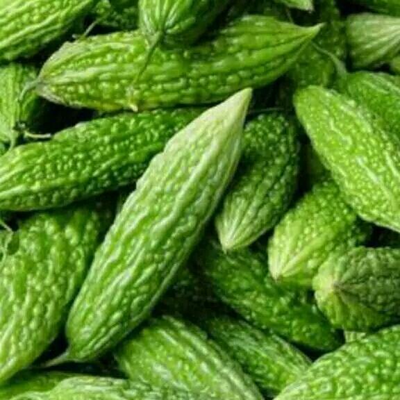 Ufairah Benih Sayur Pare Mudah Tumbuh | Lazada Indonesia