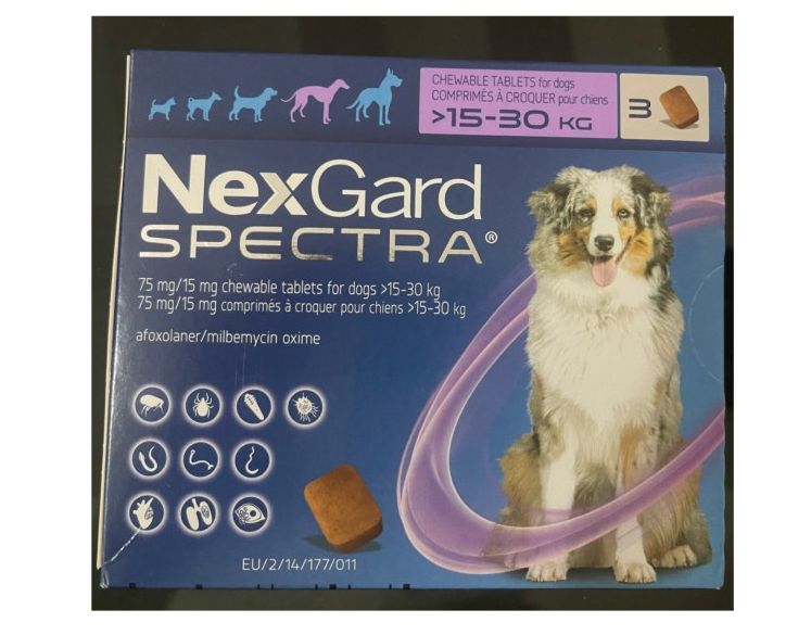 obat kutu dan demodex anjing nexgard 15-30 kg / Tablet | Lazada Indonesia