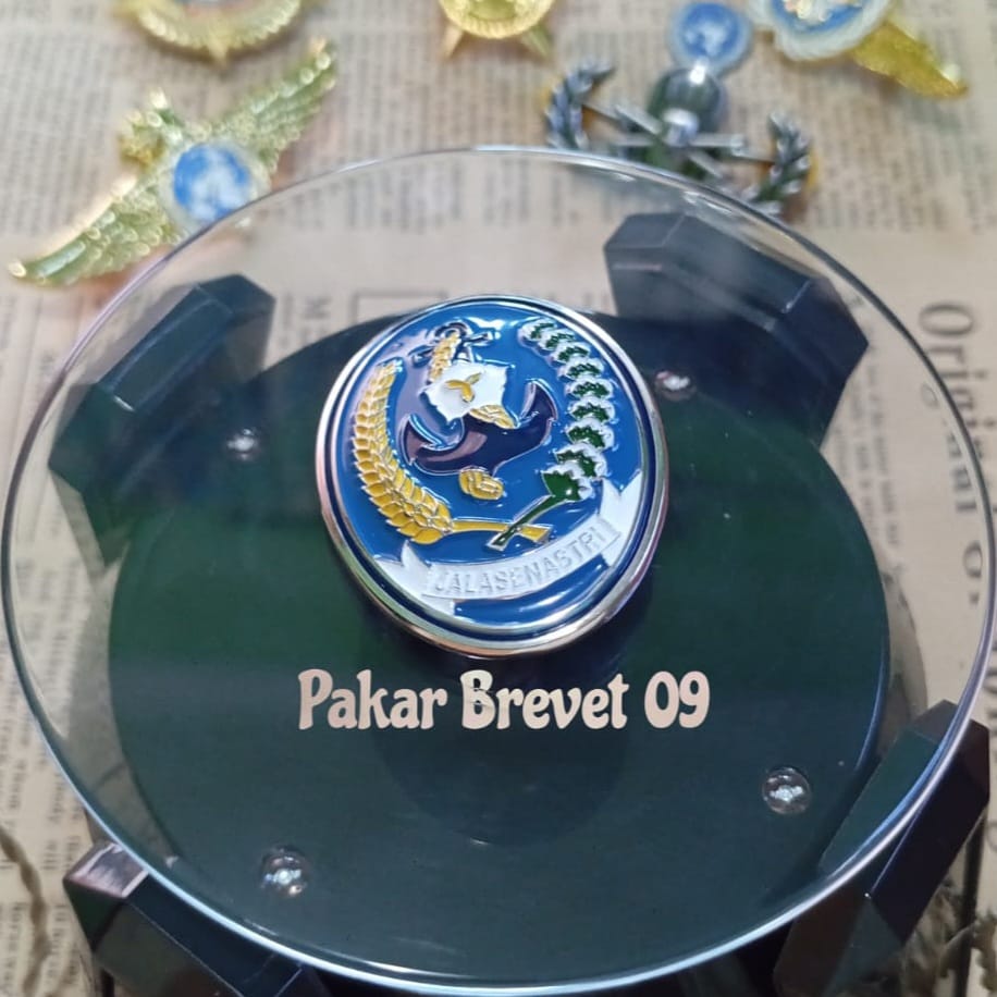 Pakar Brevet 09 : BREVET TNI AL/PIN TNI AL/PIN JALASENASTRI KELAS ...