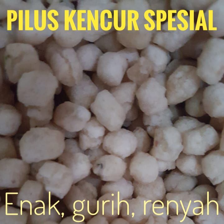 Pilus Kencur Spesial 250gr Pilus Cikur | Lazada Indonesia