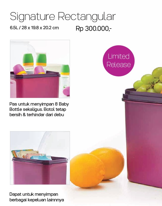 Tupperware Signature Rectangular | Lazada Indonesia