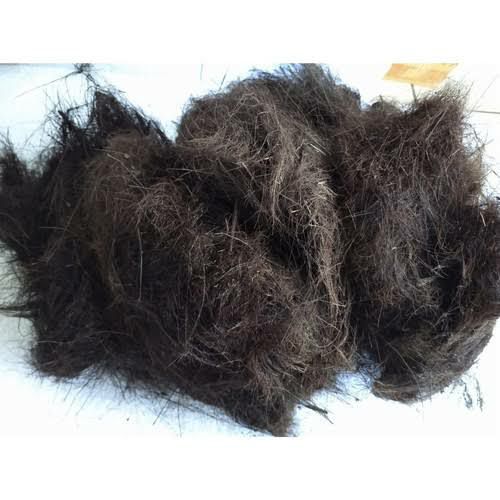 ijuk aren 1kg | Lazada Indonesia