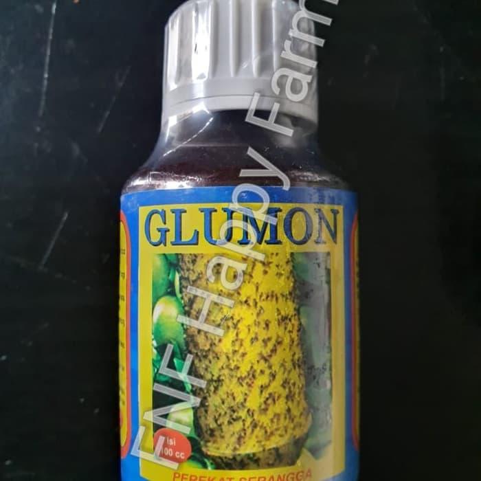 Glumon Lem perekat lalat buah 100cc | Lazada Indonesia