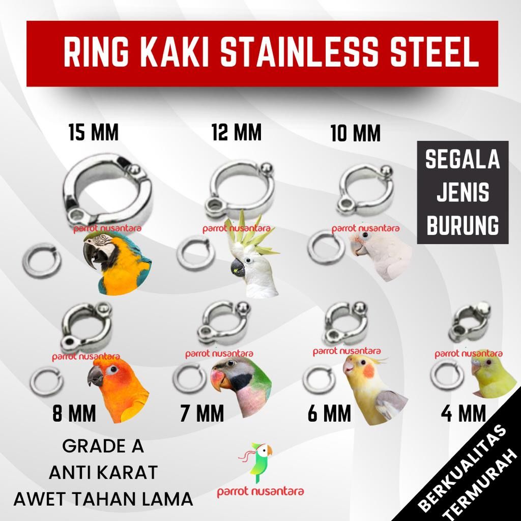 RING BORGOL KAKI BURUNG PARROT NURI BETET KAKAK TUA 4-15 MM STAINLESS ...