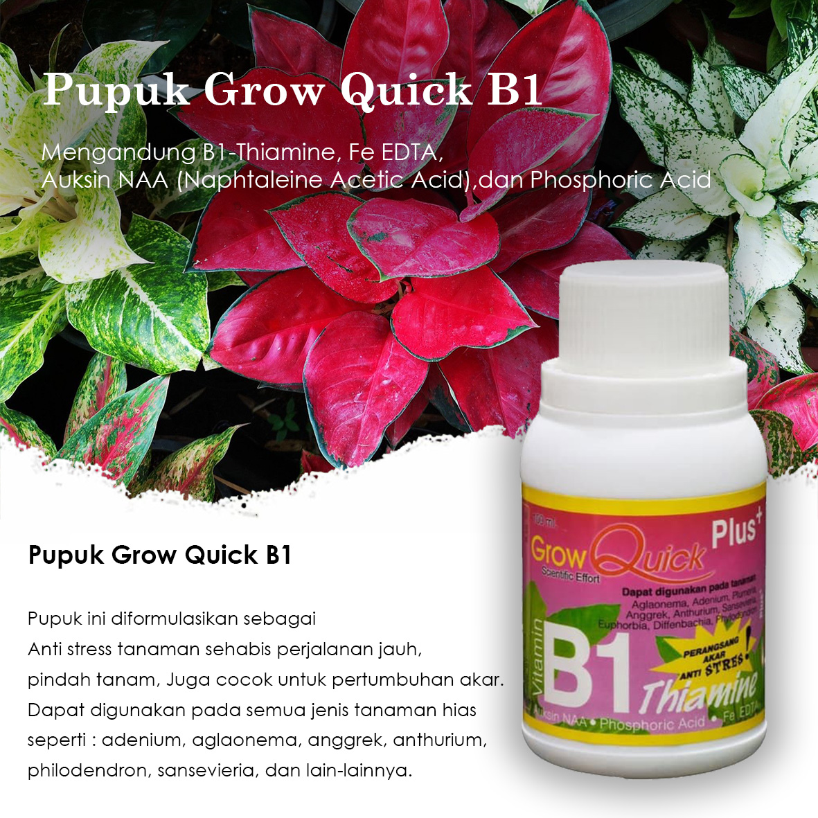 pupuk vitamin B1 plus grow quick 100 ml - obat tanaman stress | Lazada Indonesia