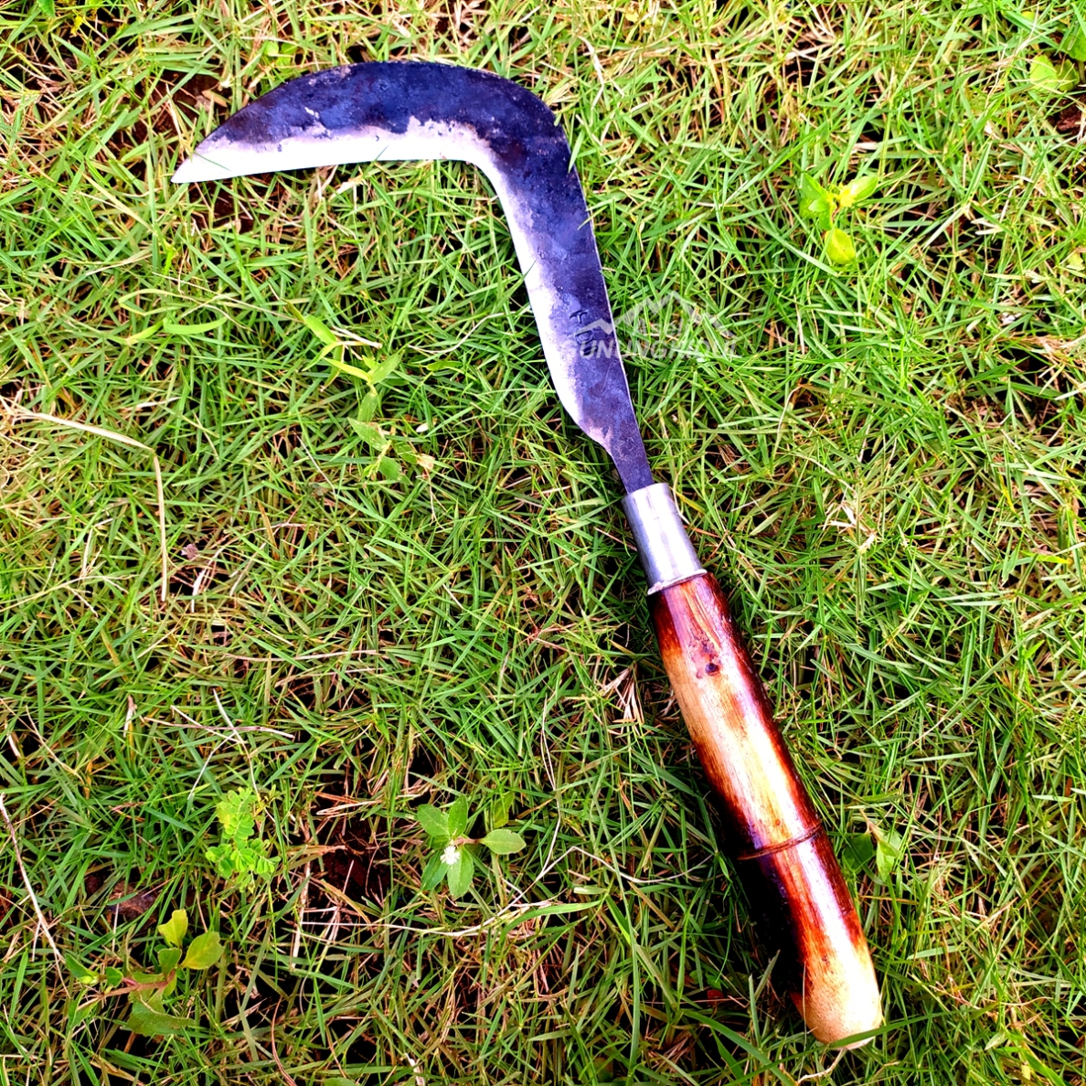 Sabit Arit Panen Padi | Lazada Indonesia