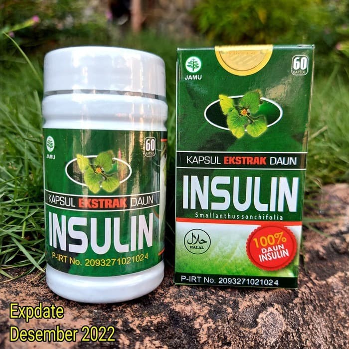 Daun insulin obat diabetes / Daun insulin asli / Daun insilin / Daun ...