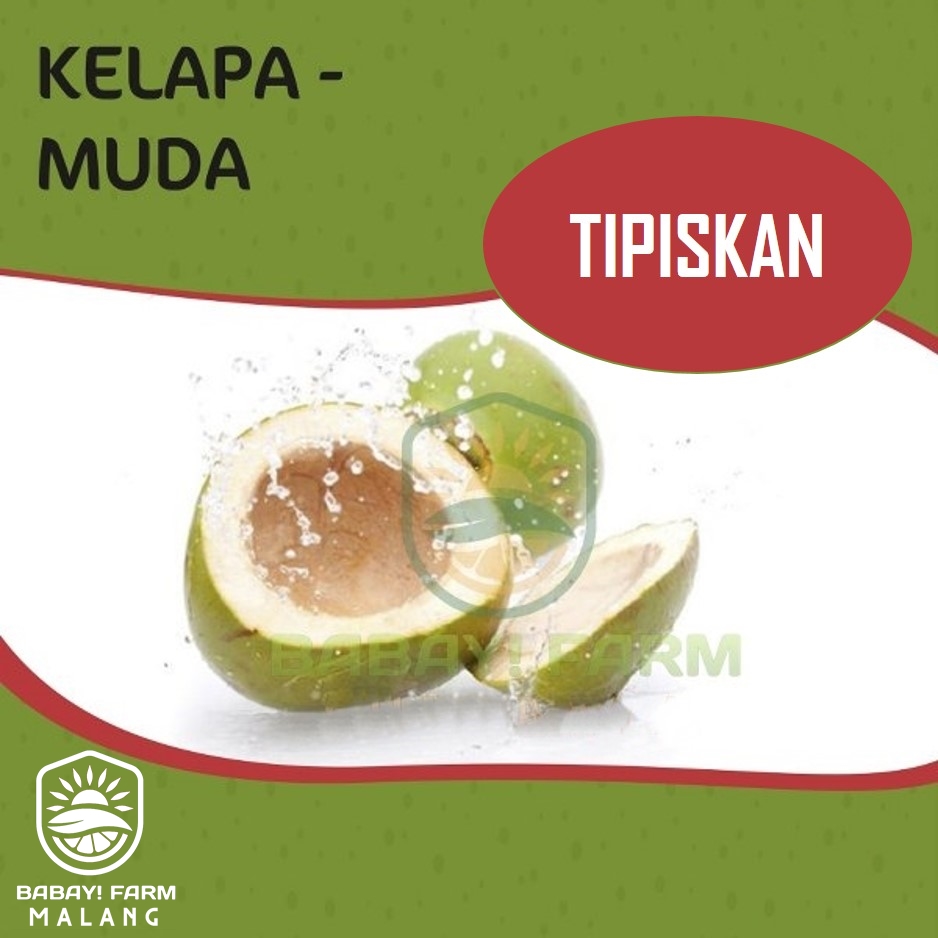 Buah kelapa muda / degan muda | Lazada Indonesia