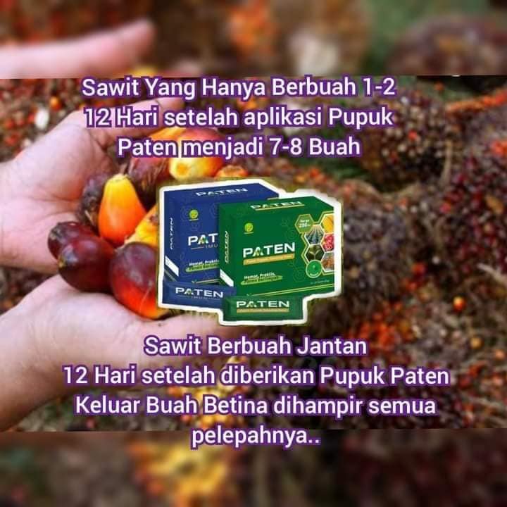 PUPUK PATEN PUPUK ORGANIIK 1 BOX ISI 24 SACHET ORIGINAL | Lazada Indonesia