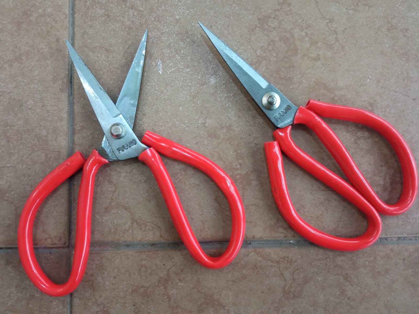 GUNTING KODOK GUNTING SERBAGUNA GUNTING JAHIT | Lazada Indonesia