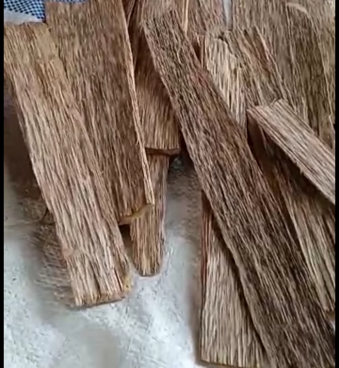 Kayu Gaharu Kayu Asli Gaharu Agarwood oud fashion muslim kayu gaharu ...
