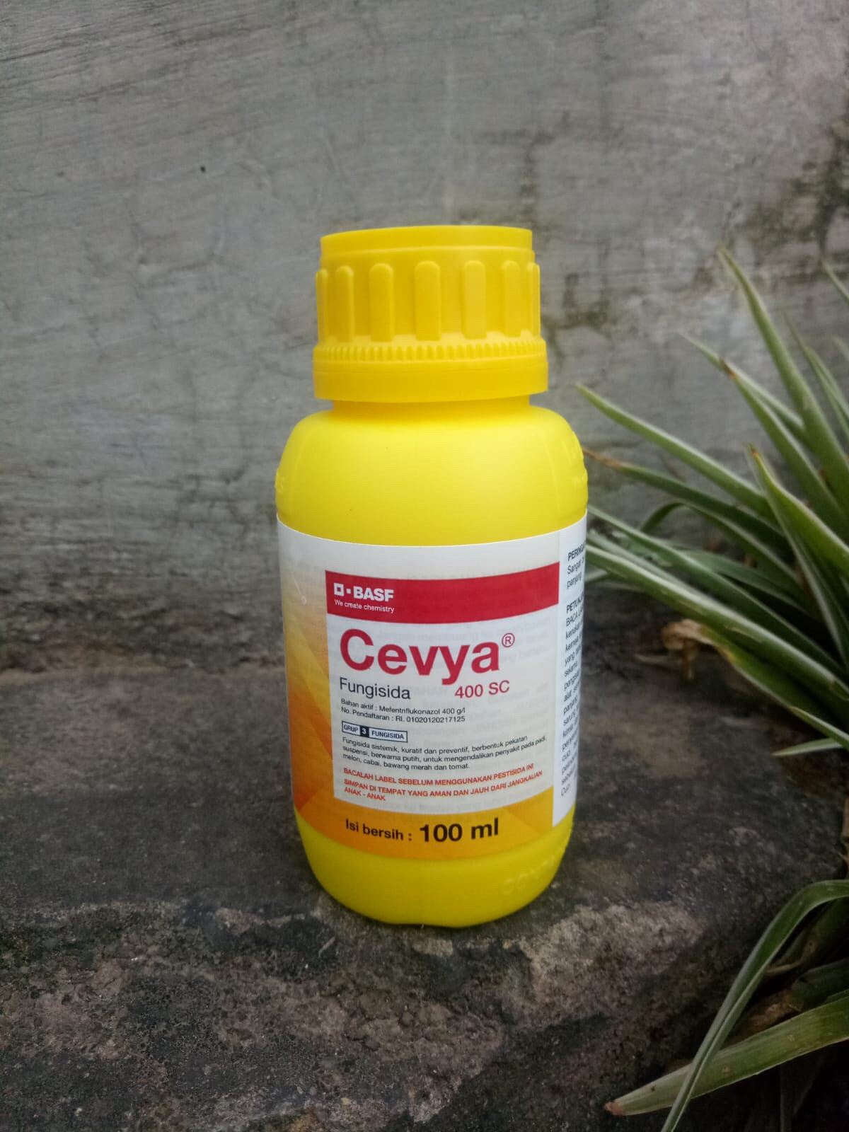 Fungisida Cevya 400 SC 100 ml | Lazada Indonesia