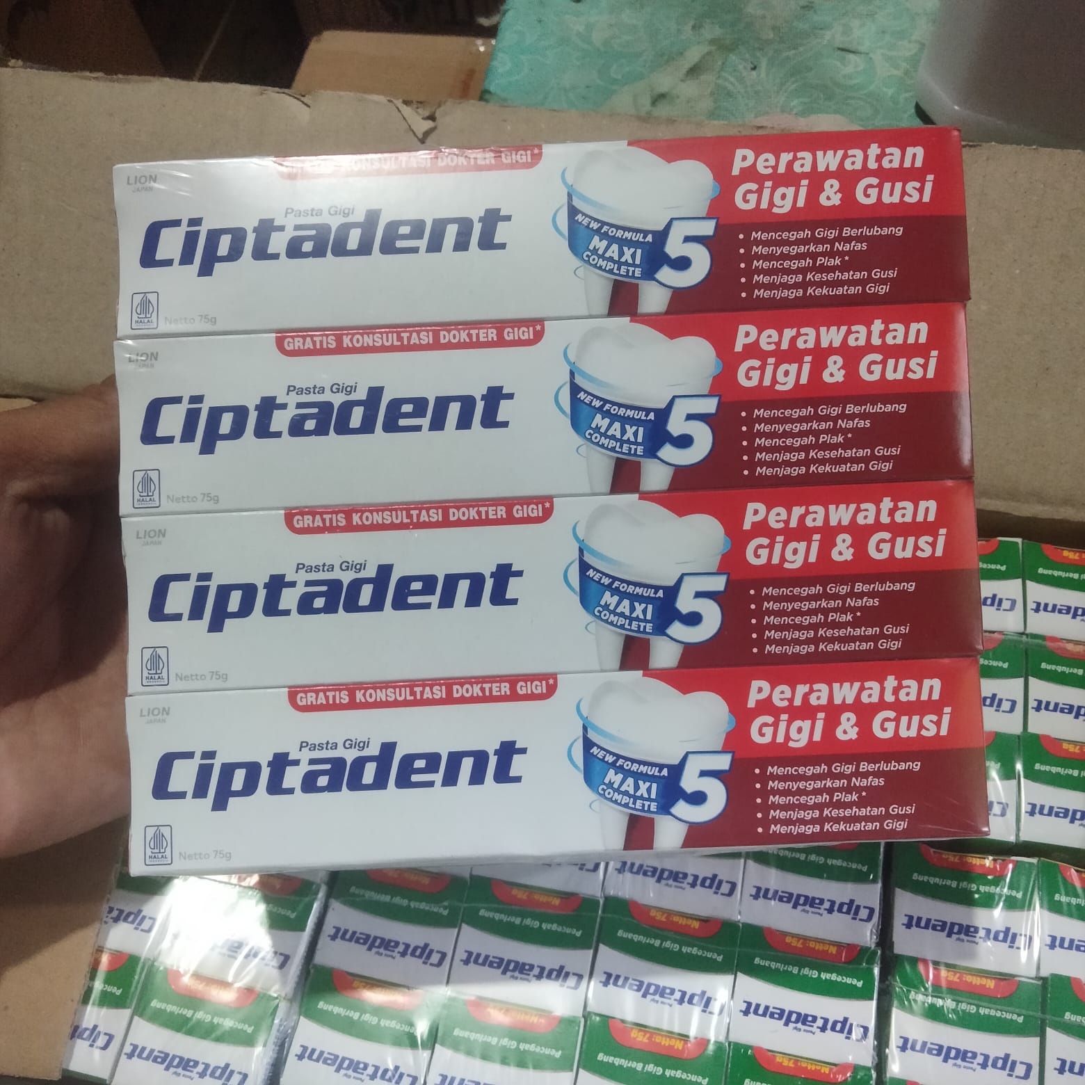Pasta Gigi Paket 12 Pcs Odol Pepsodent / Ciptadent 75gr | Lazada Indonesia