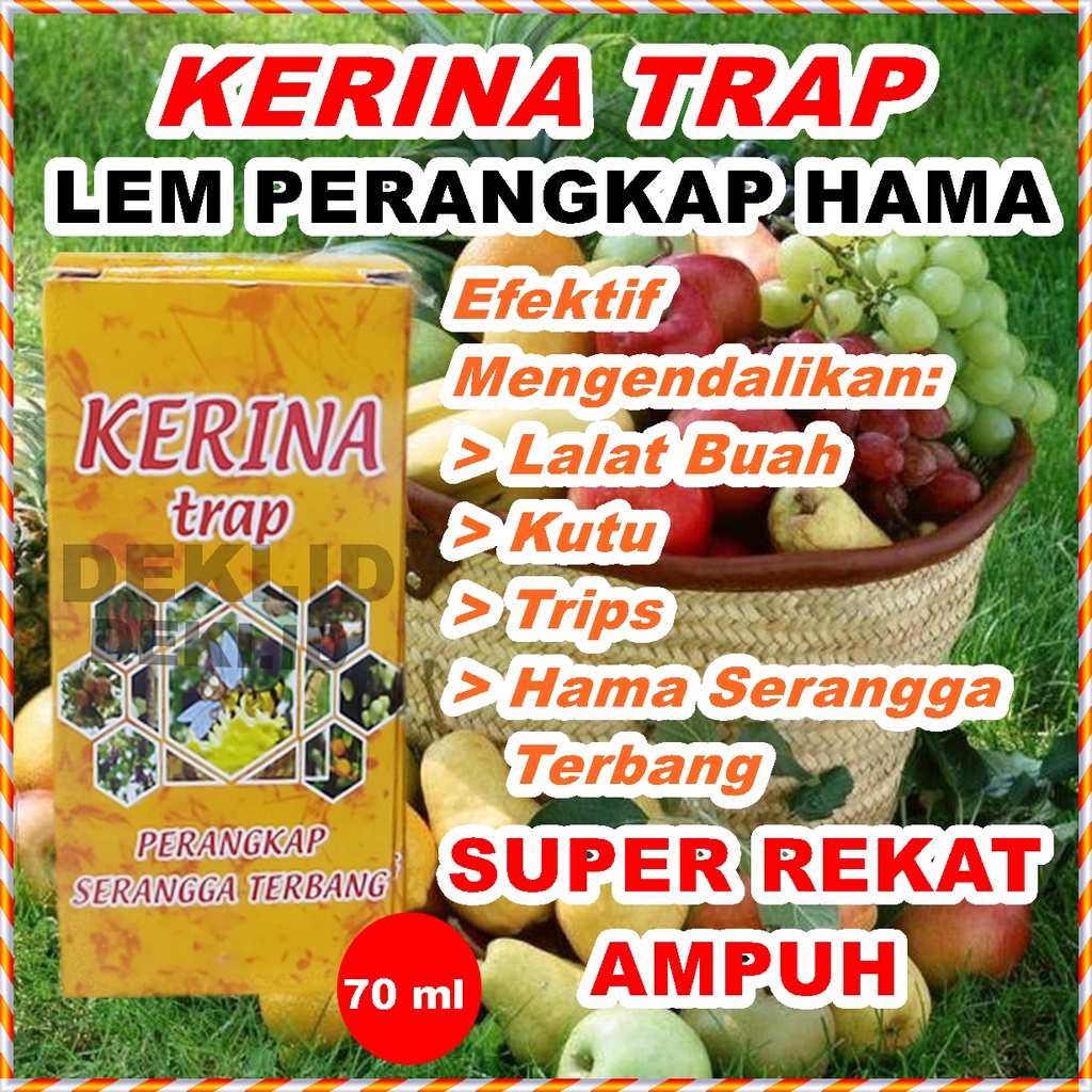 Kerina Trap 70 ml Lem Lalat Buah Perekat Serangga Terbang Perangkap ...
