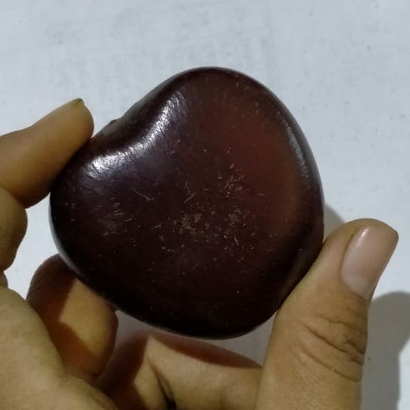 Biji Buah Balang 1kg Gendo Kering | Lazada Indonesia