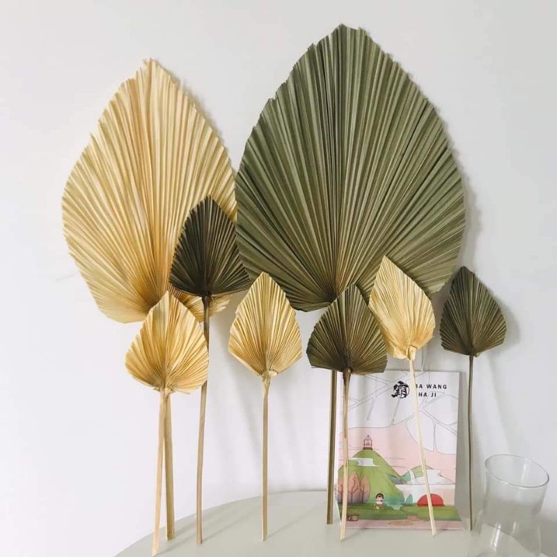 Daun Kering Palem Dekorasi Rustik Pampas Sikas Ilalang Ranting Wedding ...