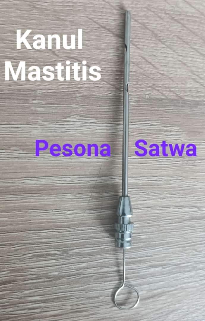 Kanul Mastitis Kerbl -Udder Catheter, Canul Mastitis, Milk Kateter ...