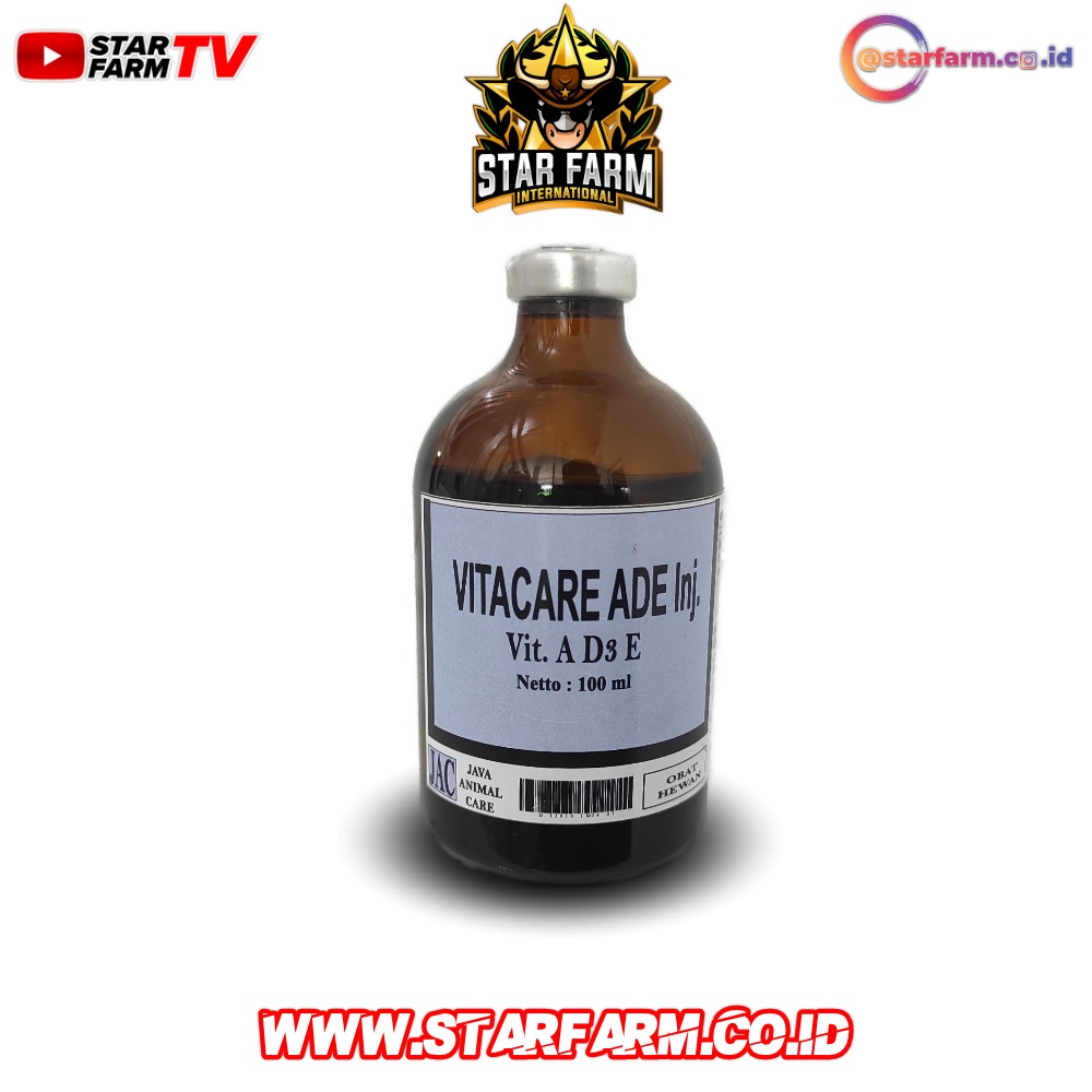 VitaCare ADE Injeksi 100Ml Vitamin- Star Farm | Lazada Indonesia