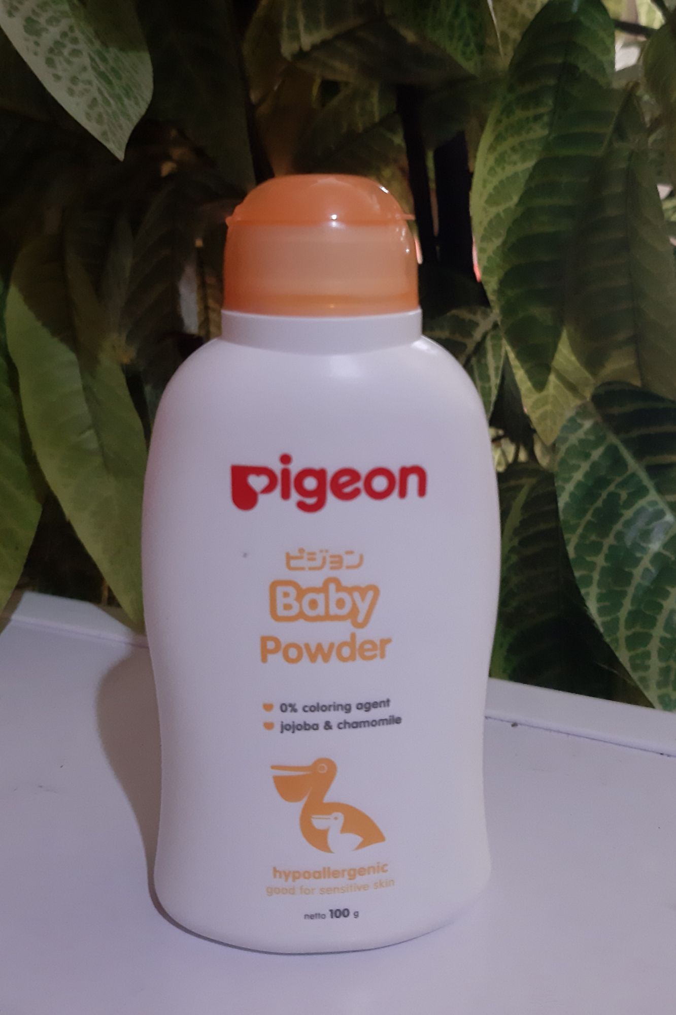 PIGEON Baby Powder 100 g | Lazada Indonesia