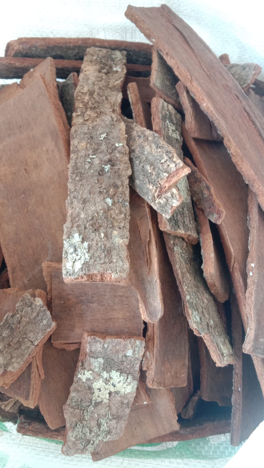 KAYU SINTOK / SENTOK KERING 1KG | Lazada Indonesia