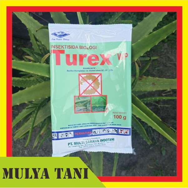 Insektisida Biologi Turex WP - 100 Gram | Lazada Indonesia