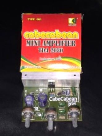 MINI AMPLIFIER TDA 2030 CABE-CABEAN | Lazada Indonesia