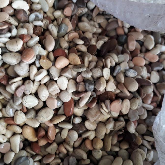 [Ready] Batu Coral Putih Kecil 1 Kg, Batu Taman Kecil, Batu Sikat, Batu ...