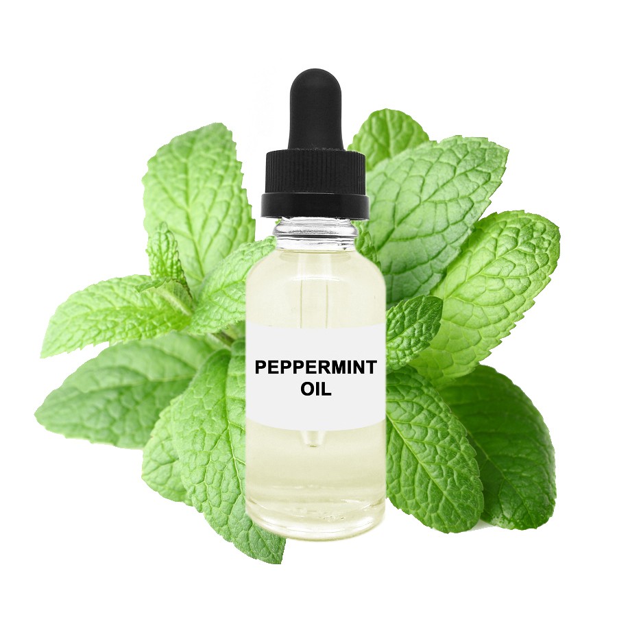 pepermint oil 35ml pure 100% | Lazada Indonesia