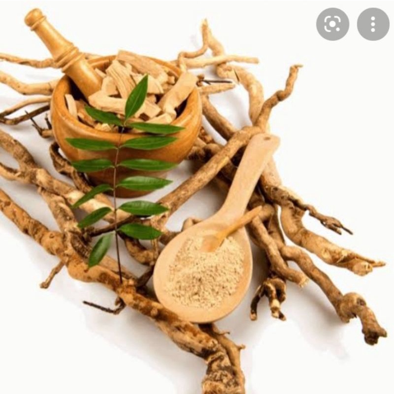 KAYU PASAK BUMI KERING PREMIUM-1KG | Lazada Indonesia