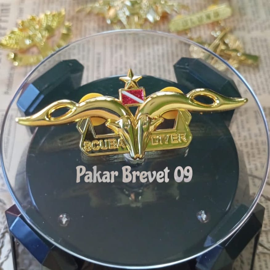 Pakar Brevet 09 : BREVET TNI AL/BREVET SCUBA DIVER BINTANG 1 | Lazada ...