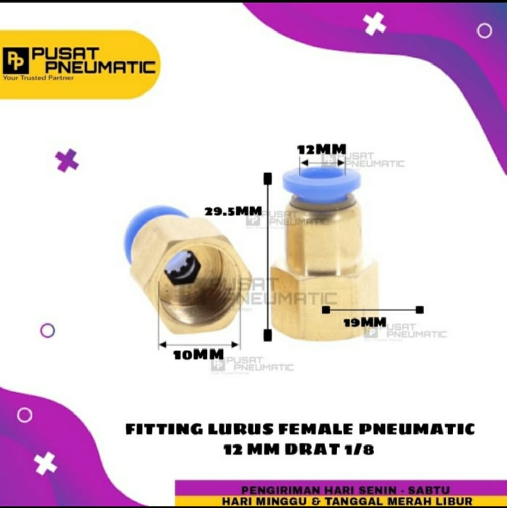 PCF 12-01 Nepel Angin Fitting Pneumatic Lurus Female Selang 12mm Drat 1 ...
