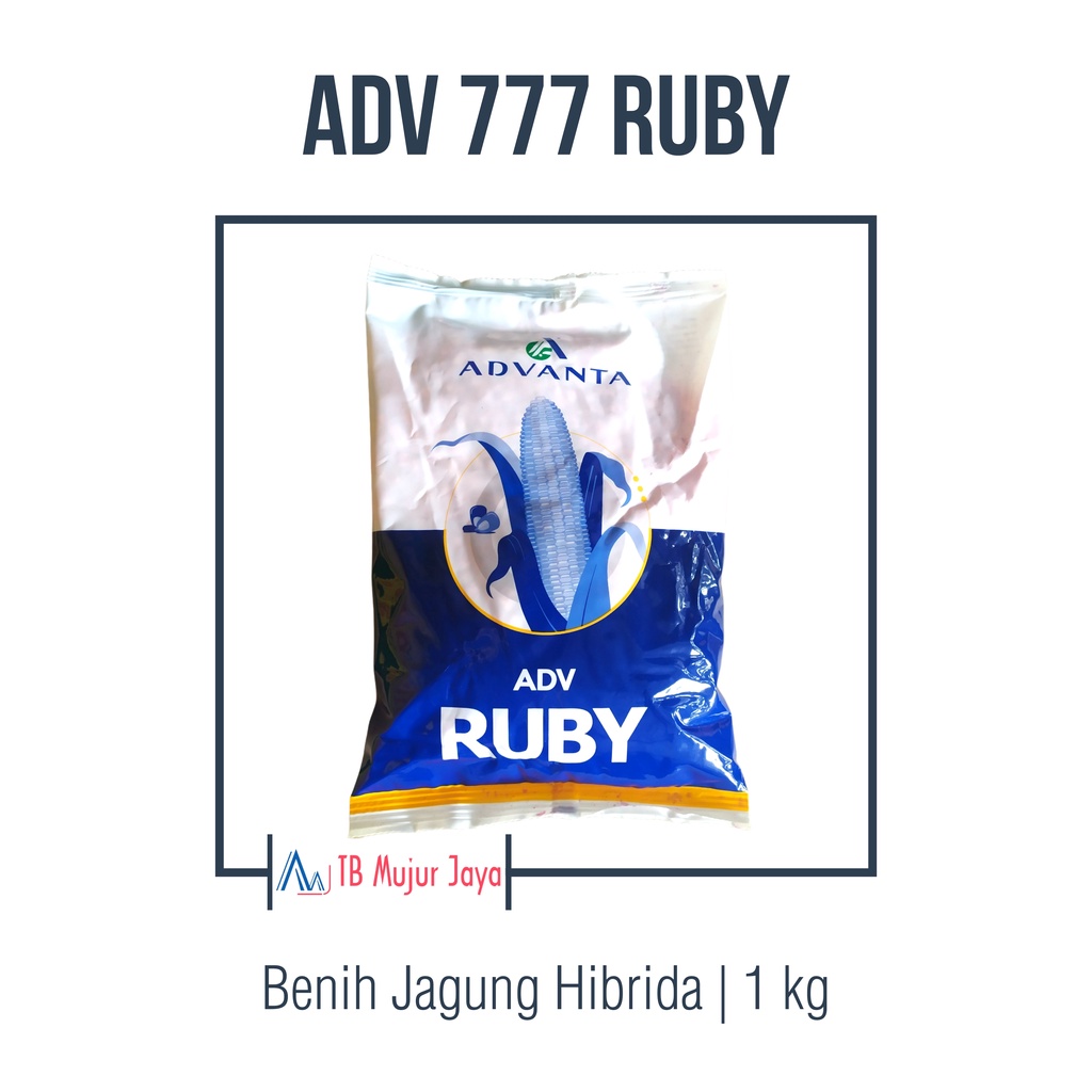 Benih Jagung Advanta ADV 777 RUBY 1 kg | Lazada Indonesia
