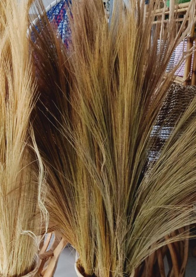 Bunga Rayung Kering Penebah Dekorasi Ruang Tamu 1 iket 8 - 10 Batang ...