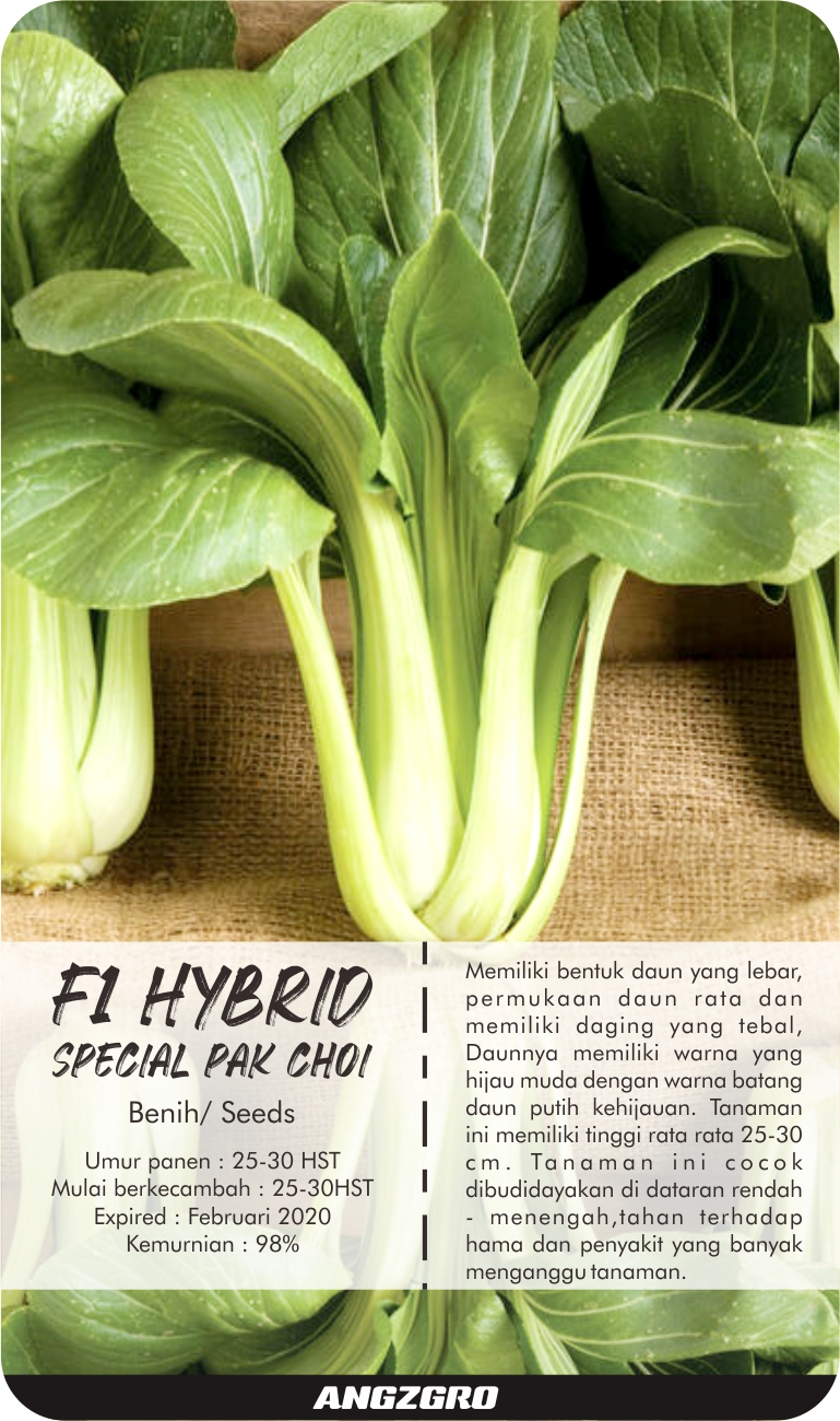 benih Sayur F1 Hybrid Special Pak Choi 1000 Seeds | Lazada Indonesia