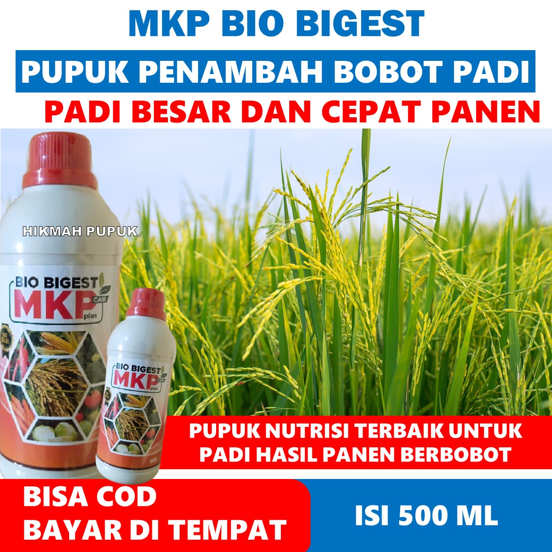 BISA BAYAR DI TEMPAT BOOSTER PENAMBAH BOBOT PADI BIO BIGEST MKP CAIR PLUS - Pupuk MKP + KNO3 ...