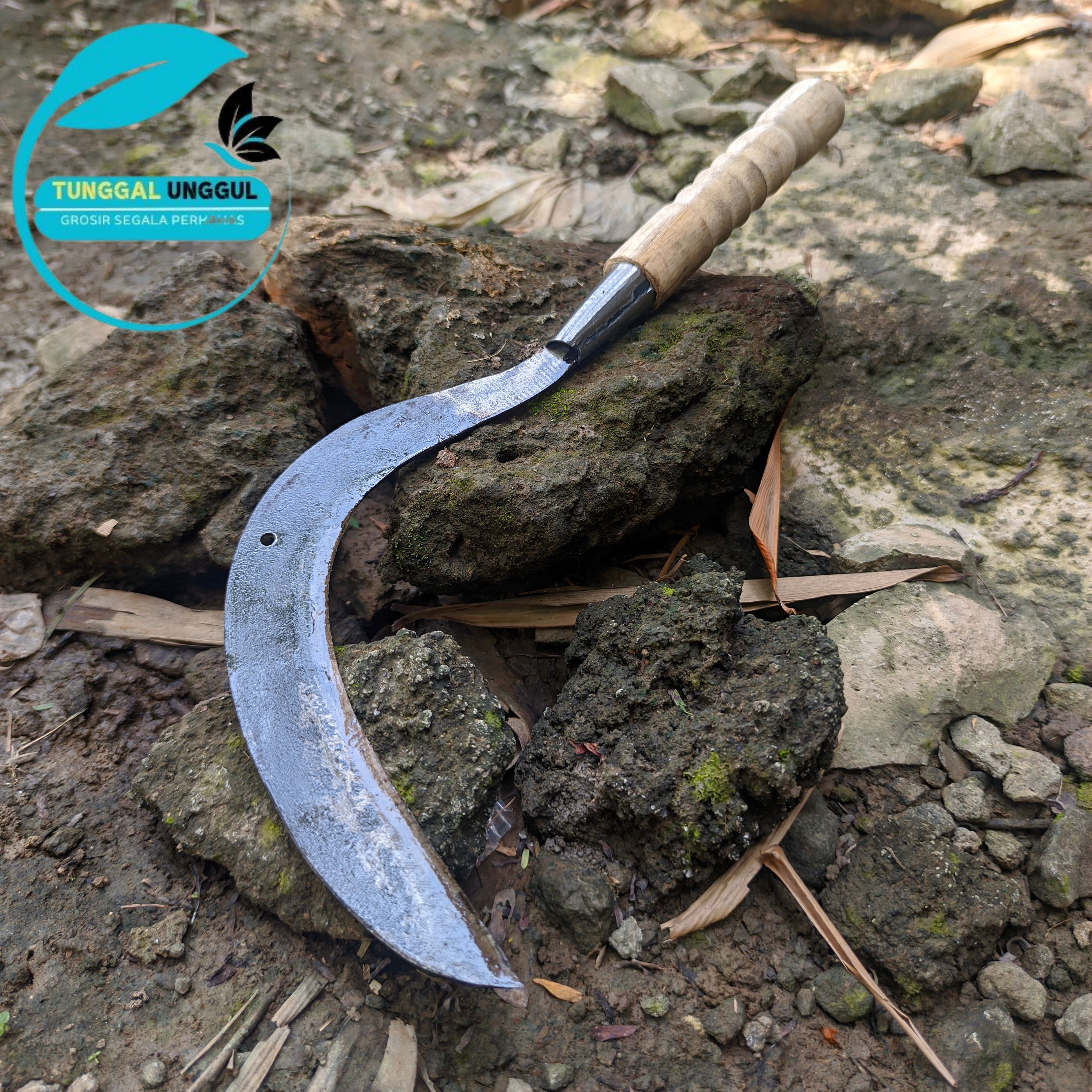 Sabit Madura Pemotong Rumput Dan Padi Promo Harga Murah - Arit Kecil ...