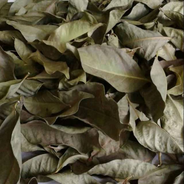 DAUN SALAM KERING TERMURAH 250 GRAM | Lazada Indonesia