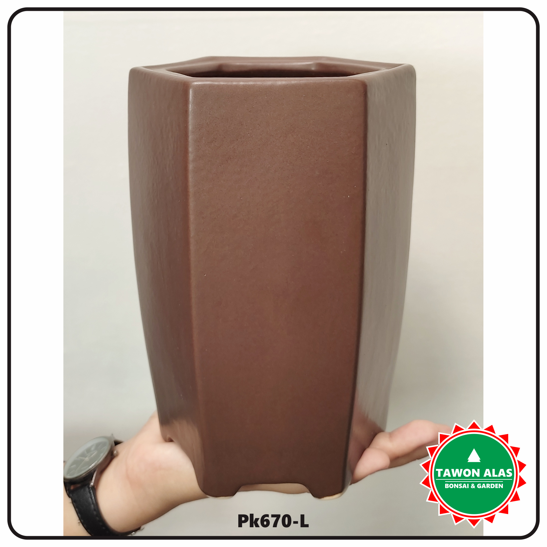 Pot Bonsai Keramik Segi Enam Tinggi | Lazada Indonesia