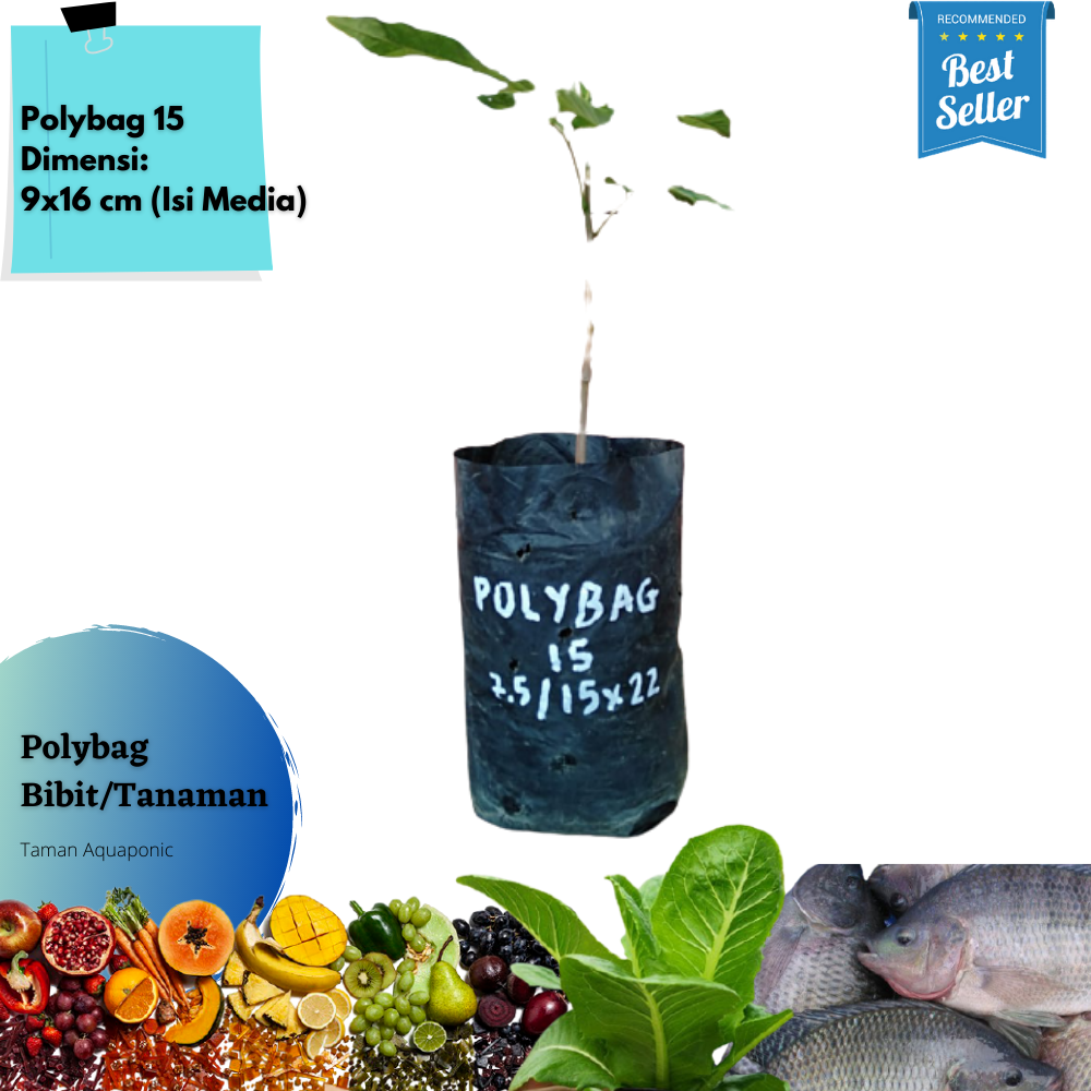 Polybag Kecil 500 Gram | Lazada Indonesia