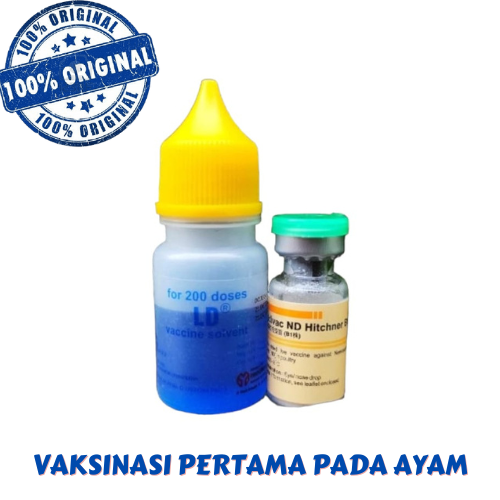 Vaksin ND Hitchner B1 dosis 200 - Vaksin Ayam | Lazada Indonesia