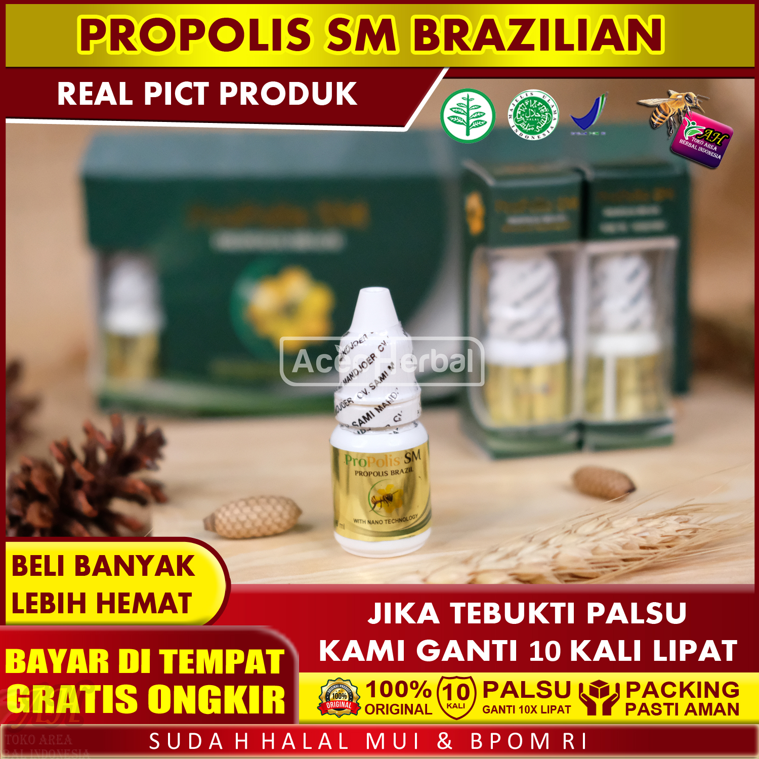 Walatra Propolis SM Brazil Solusi Obat Tetes Telinga Congek Curek ...