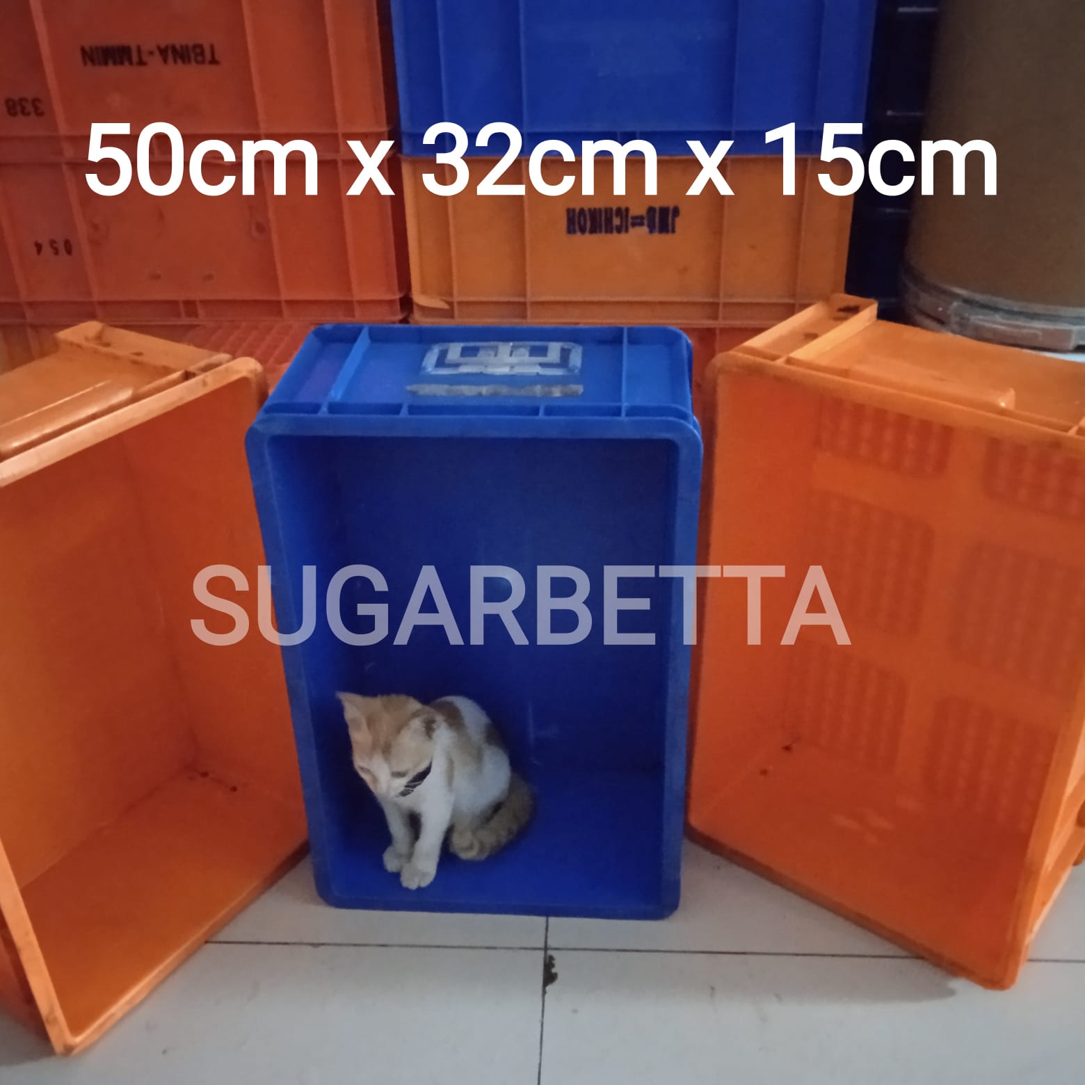 Box Plastik Rapat / Box Container Industri / Bak Plastik Rabbit 6555 ...