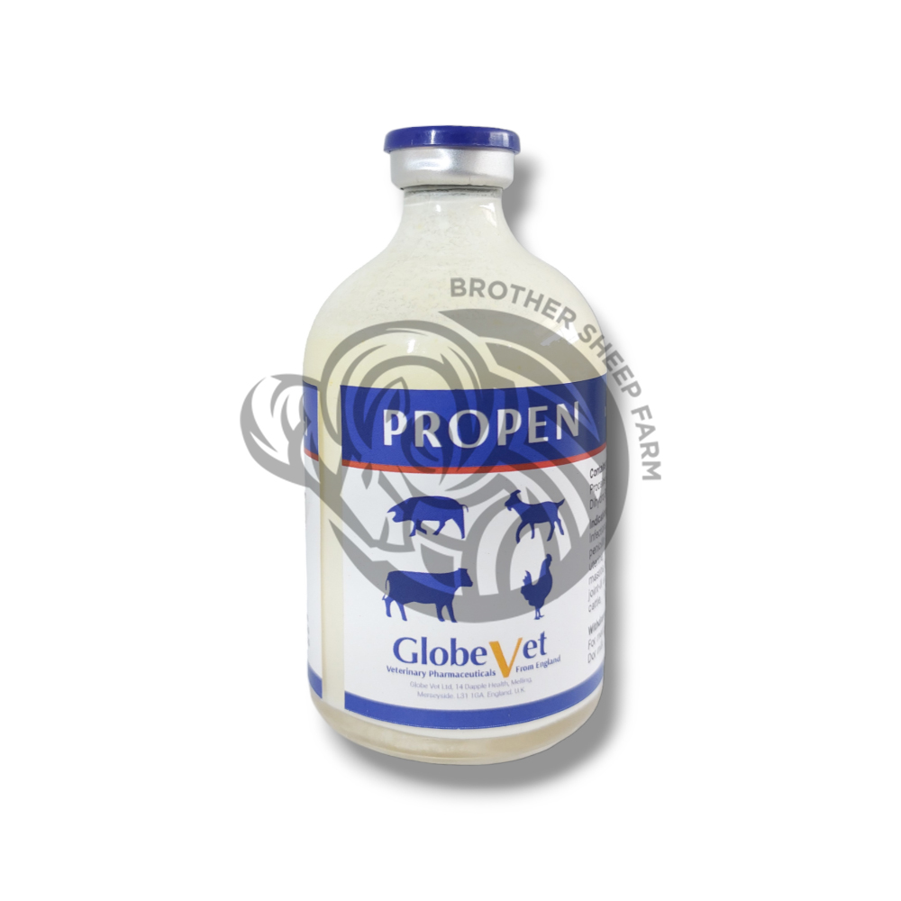 Propen Penstrep Antibiotik Hewan LSD Lato Lato PMK Abses Mastitis Kucing Kelinci Domba Kambing ...