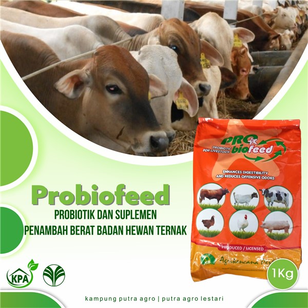 PROBIOTIK DAN SUPLEMEN PENAMBAH BERAT BADAN HEWAN TERNAK SAPI, KUDA ...