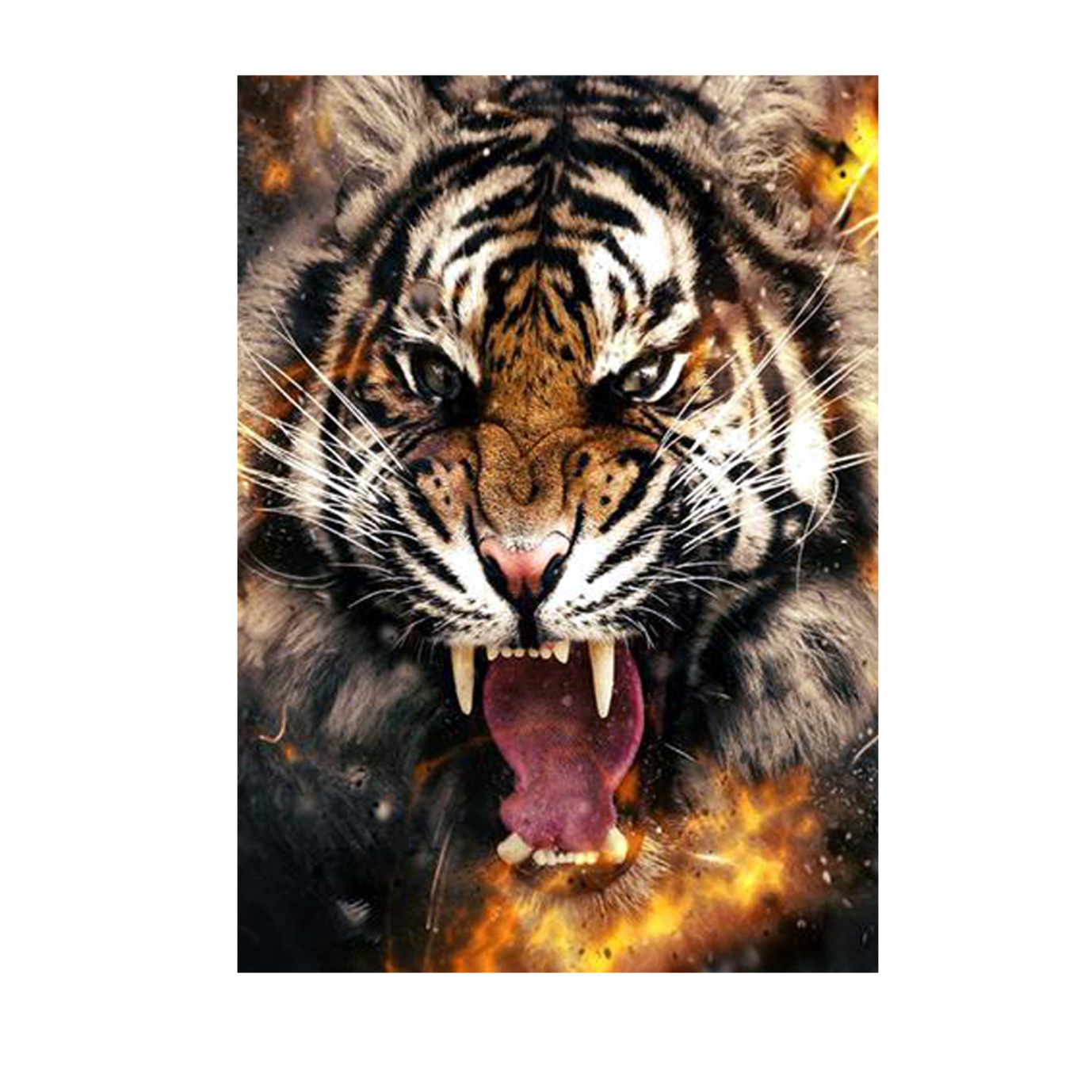 POSTER BINATANG MACAN/POSTER BINATANG/HIASAN DINDING/POSTER BAHAN AC260 ...